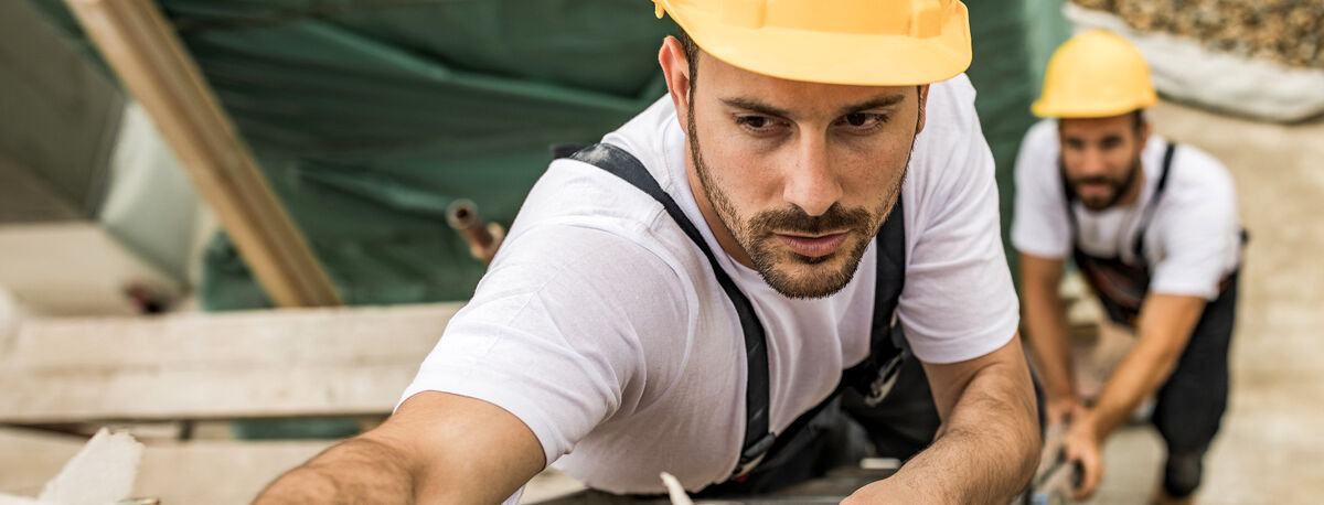 Karriere - Holz-Hybrid-Bau | Job Finder | Offene Stellen – CREE ...